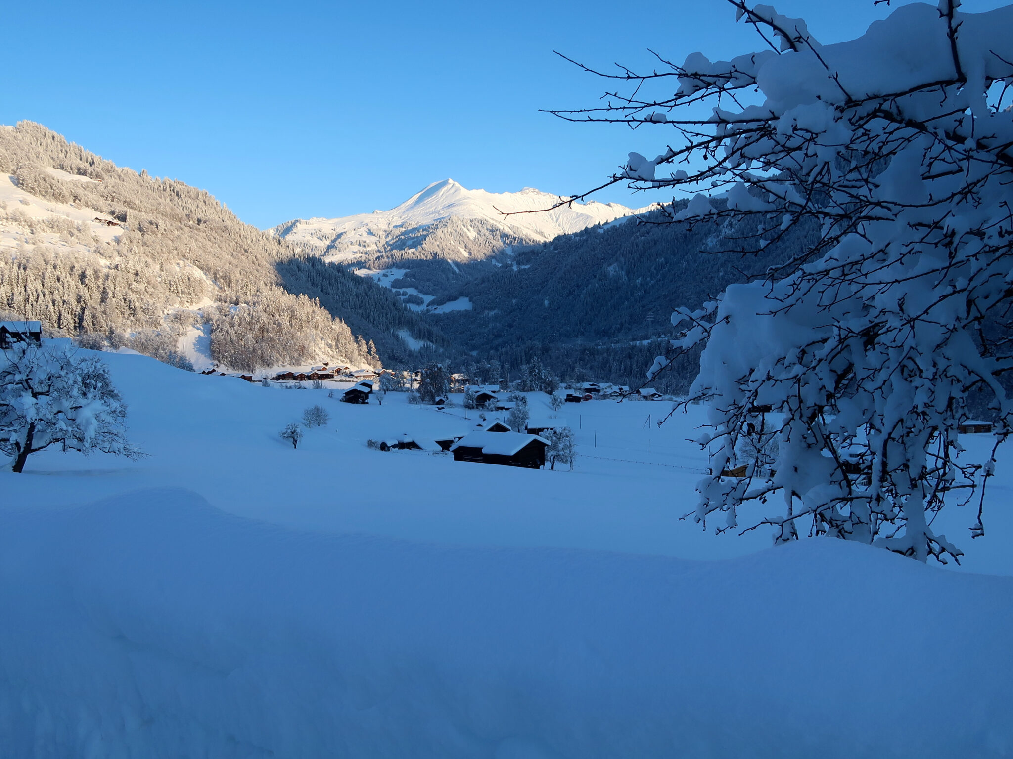 Schneetraum in Jenaz – Ferienwohnung VELA